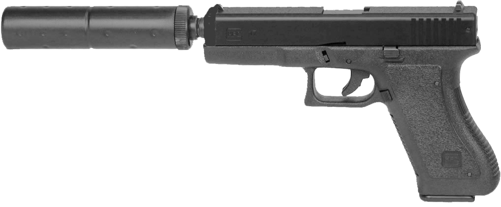 Pipe Down: All About Suppressor Height Sights and a Silencer Holster ...